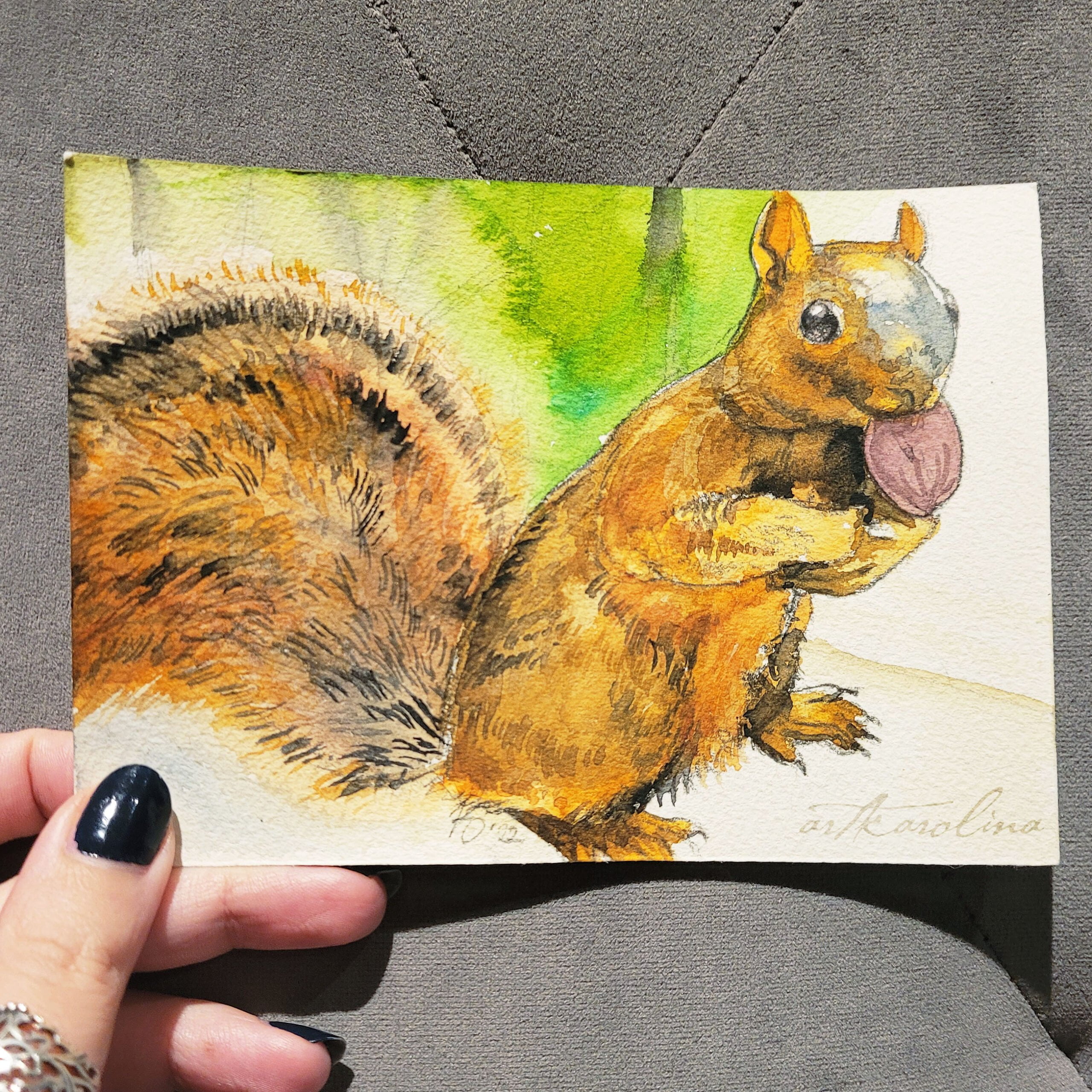 6x4 in Squirrel Sketches in Watercolor • artKarolina